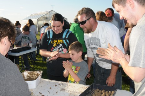 How to Make Seedballs | Milkweed Matters