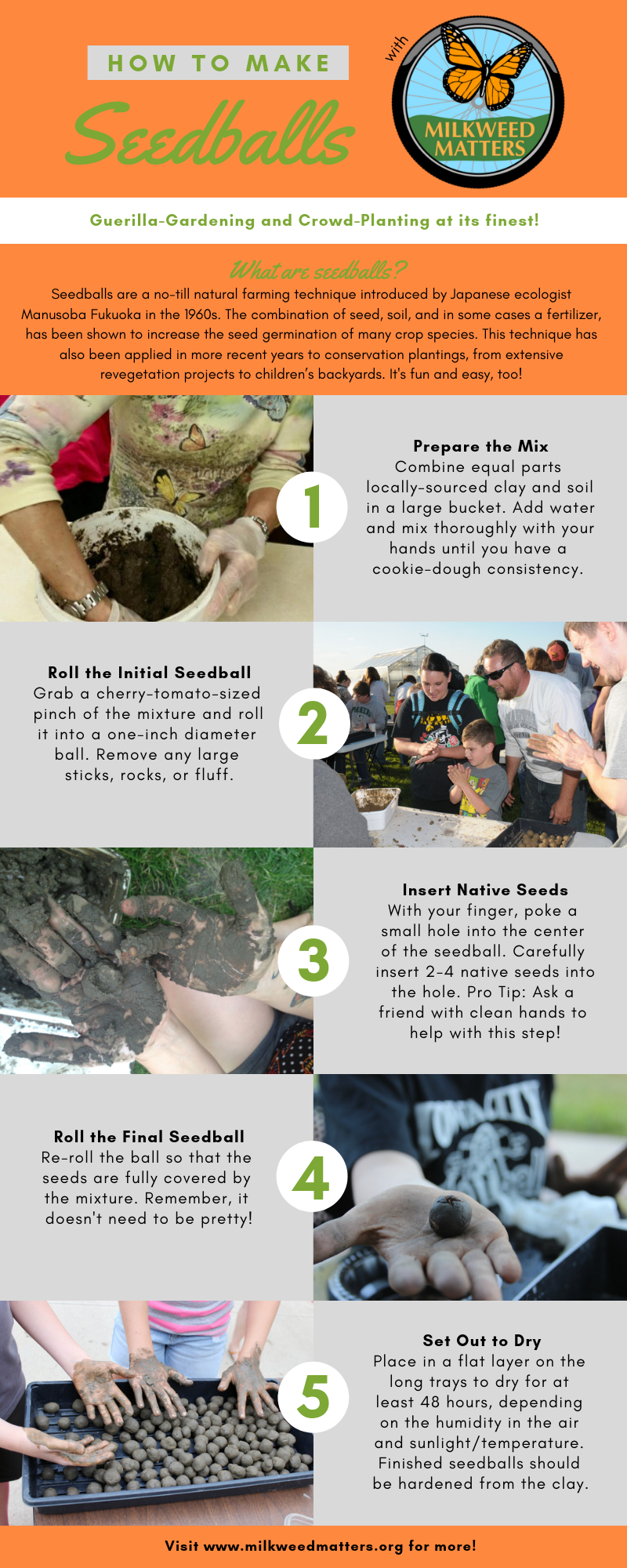How to Make Seedballs | Milkweed Matters